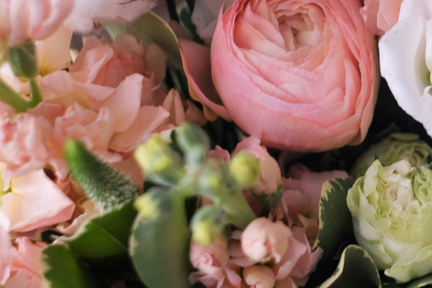 Floral Fragrance Family at Les Senteurs